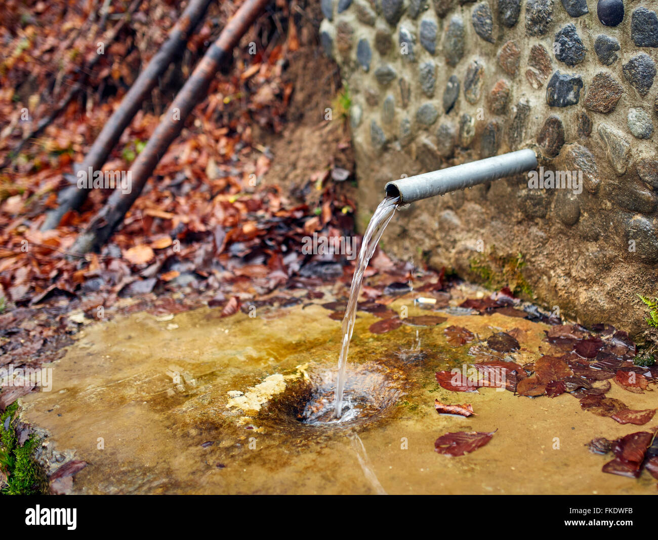An old spring in the forest with drinkable water Stock Photo - Alamy