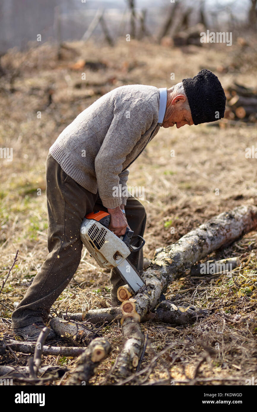 Senior farmer chopping an old apple tree in an orchard Stock Photo - Alamy
