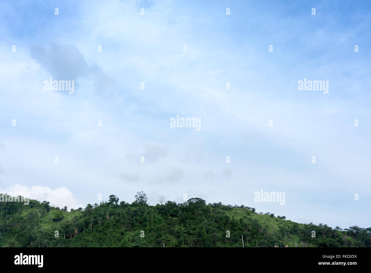 Tobago forest cloud hi-res stock photography and images - Alamy