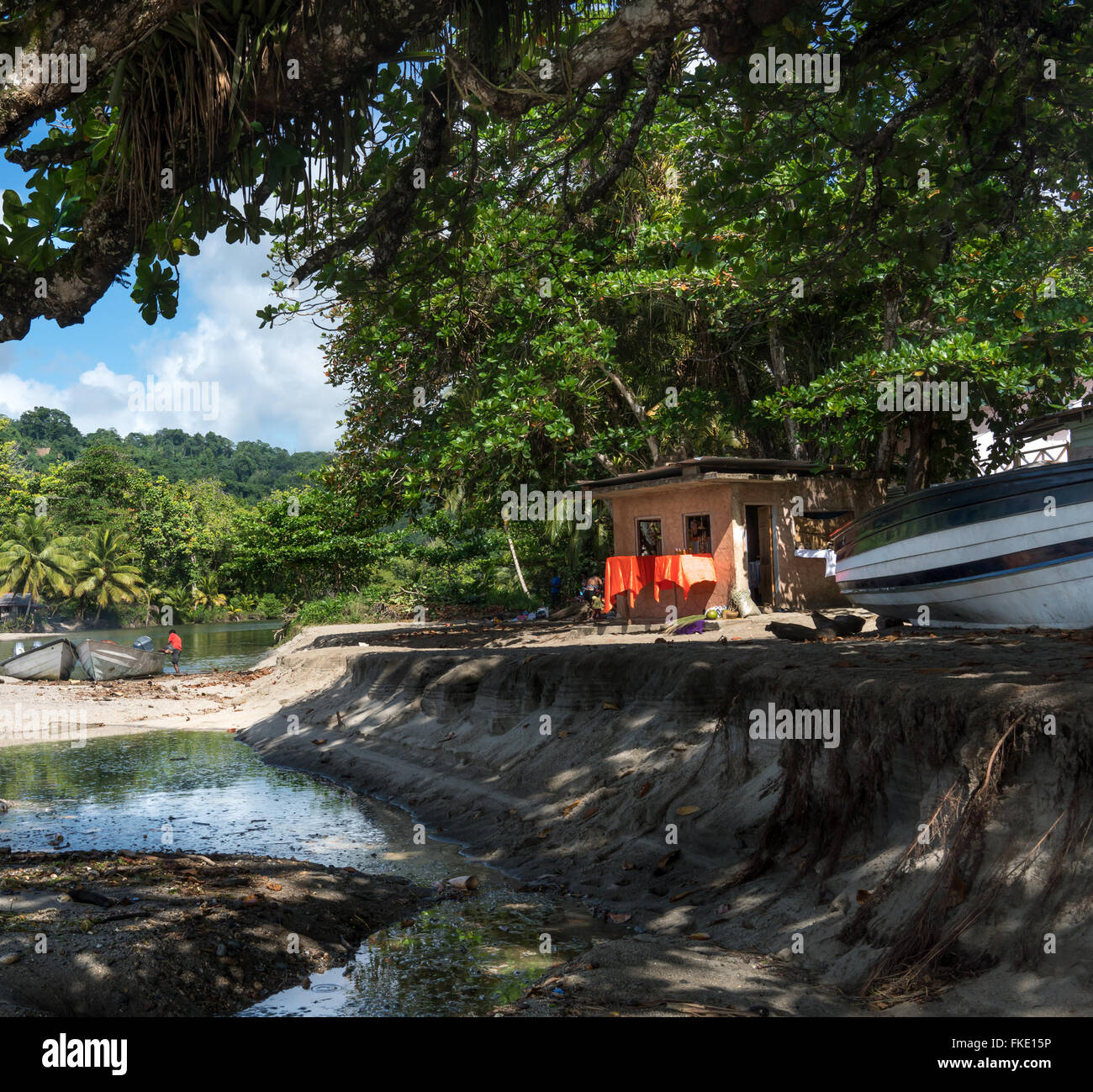 Tree overlooking beach, Trinidad, Trinidad and Tobago Stock Photo - Alamy
