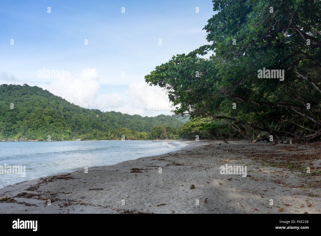Scenic view of beach with overlooking trees and hill, Trinidad ...
