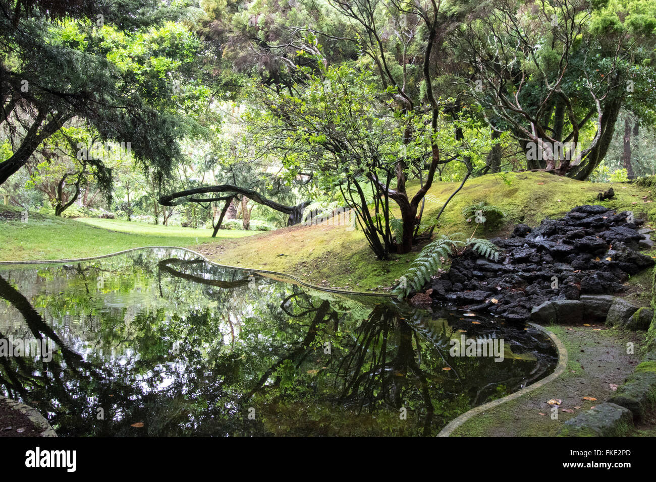 Pool reflection within Botanical Garden of Faial Island, Azores ...