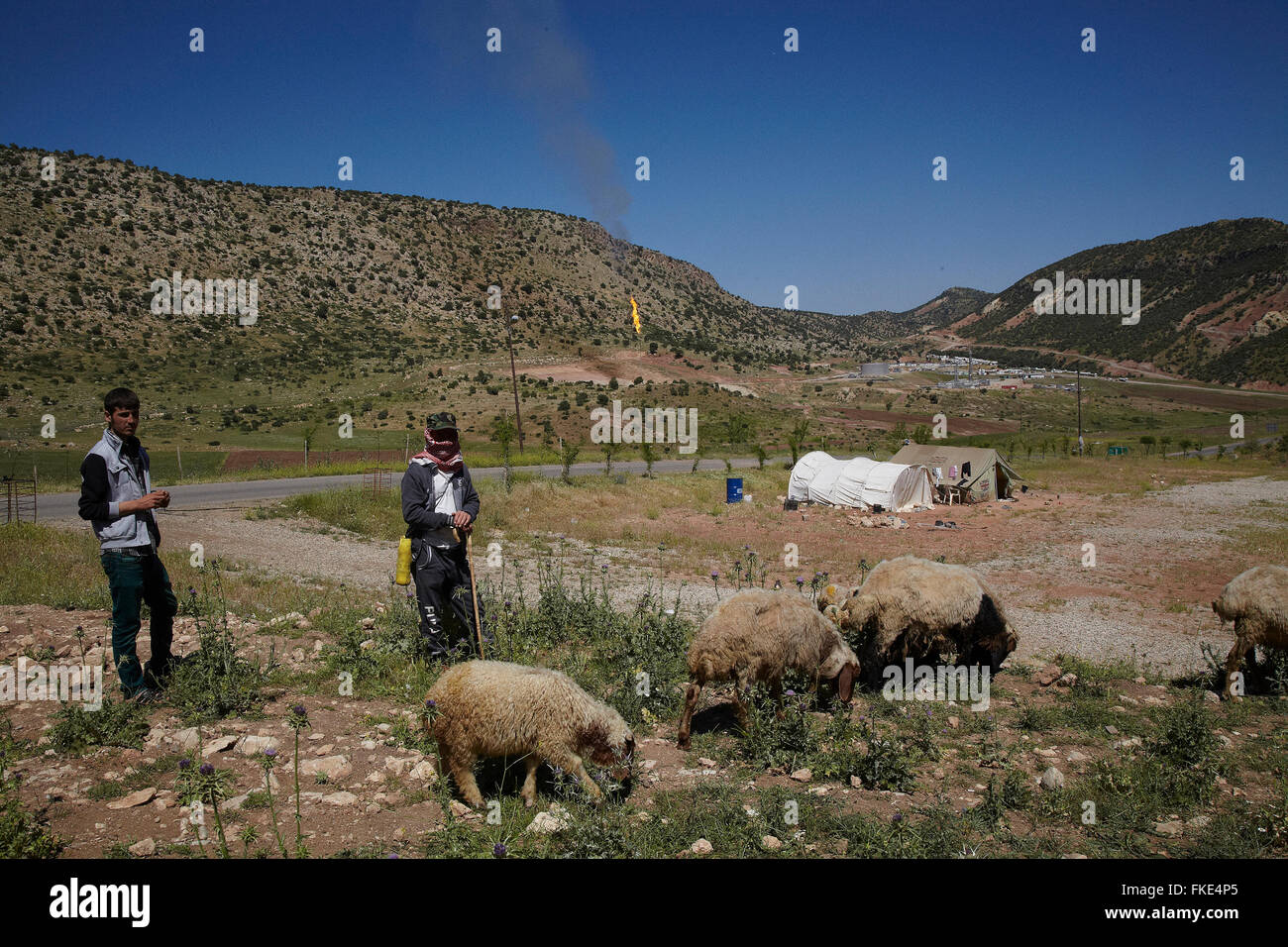 Shepherds with their sheep near an oil well in Iraqi Kurdistan Stock ...