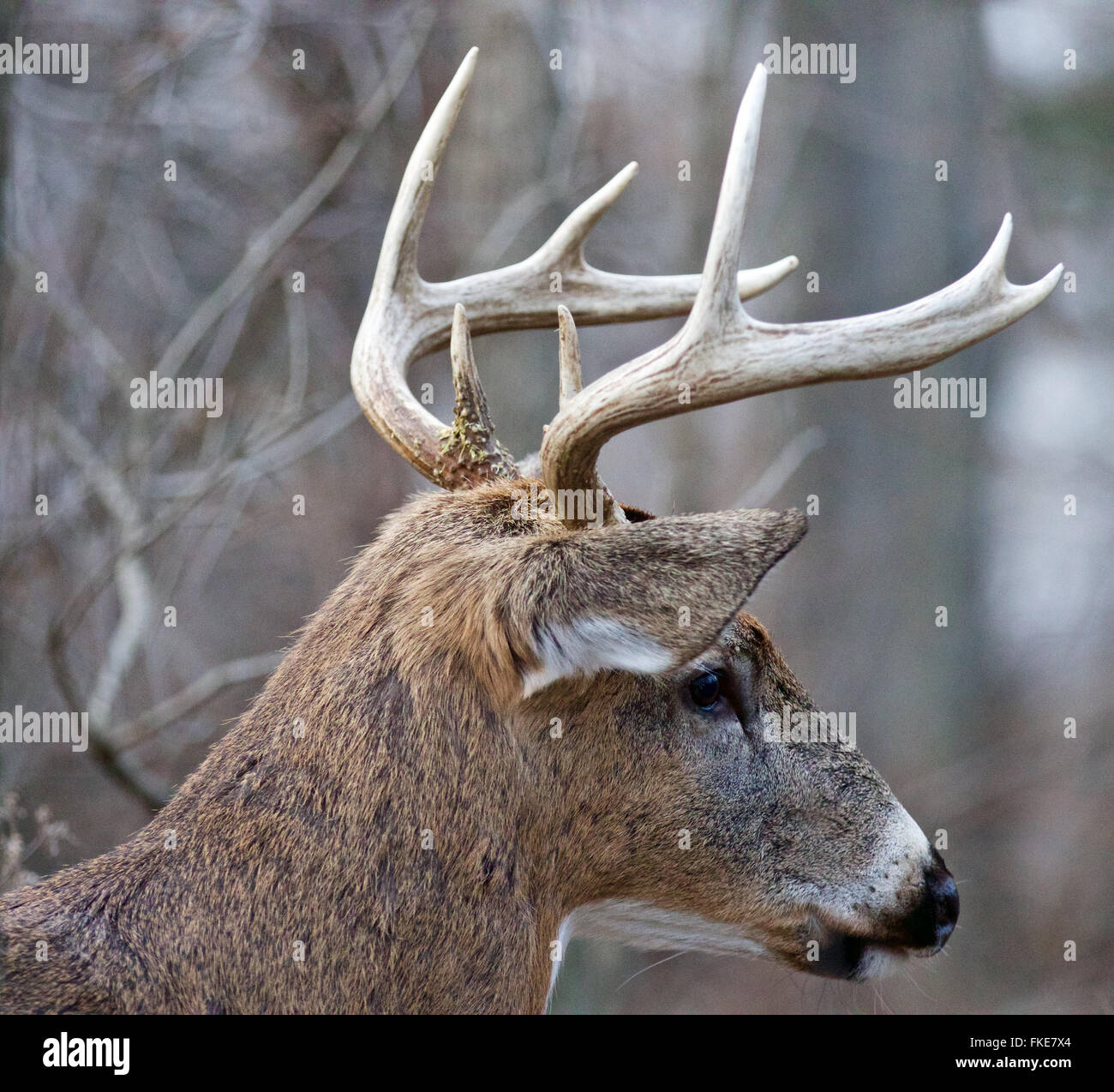 Powerful emotions hi-res stock photography and images - Alamy