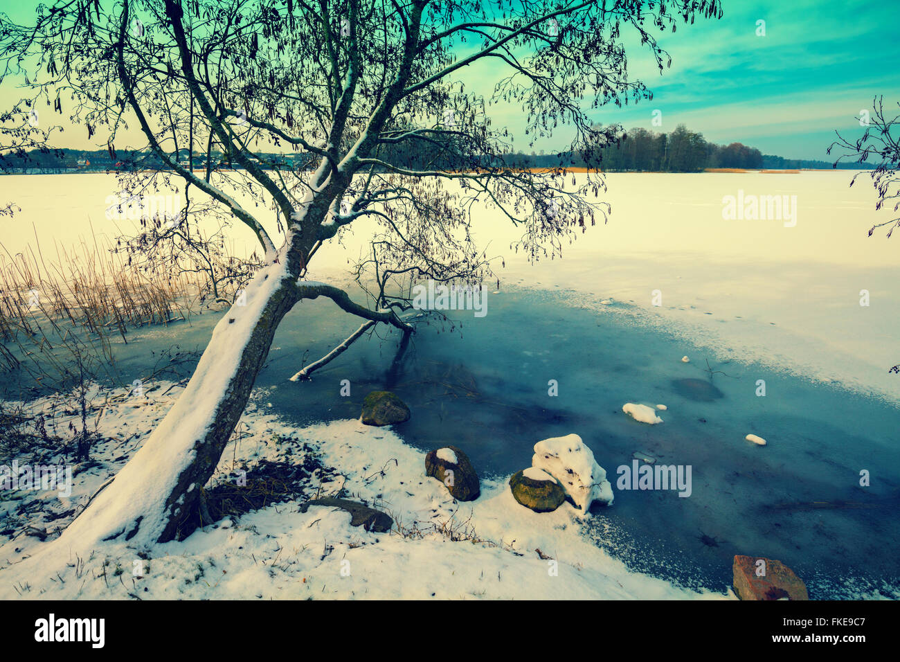 Frozen lake with tree Stock Photo - Alamy