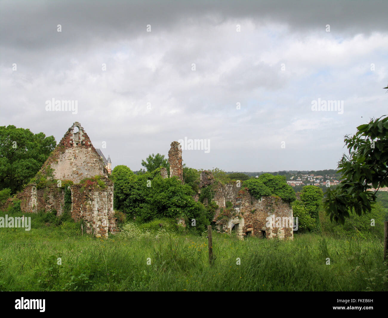 Ruins of a farmhouse in rural France Stock Photo - Alamy