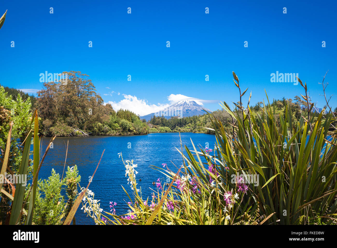 Volcano Scenic View Taranaki New High Resolution Stock Photography and ...