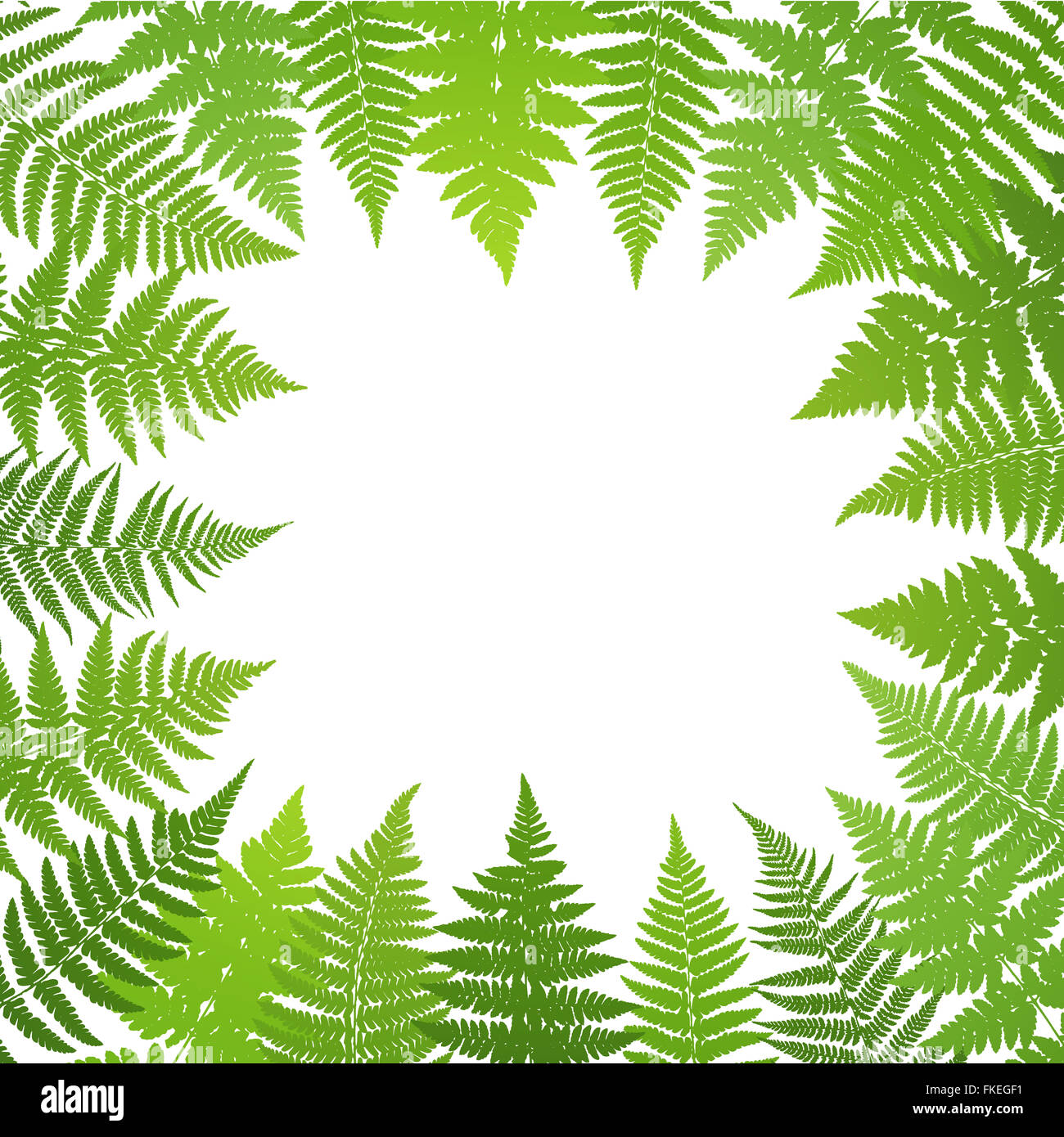 Jungle poster. Fern frond background. Vector illustration Stock Photo ...