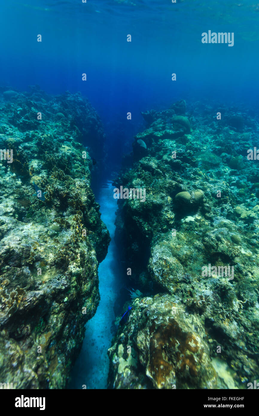 Deep crevice hi-res stock photography and images - Alamy