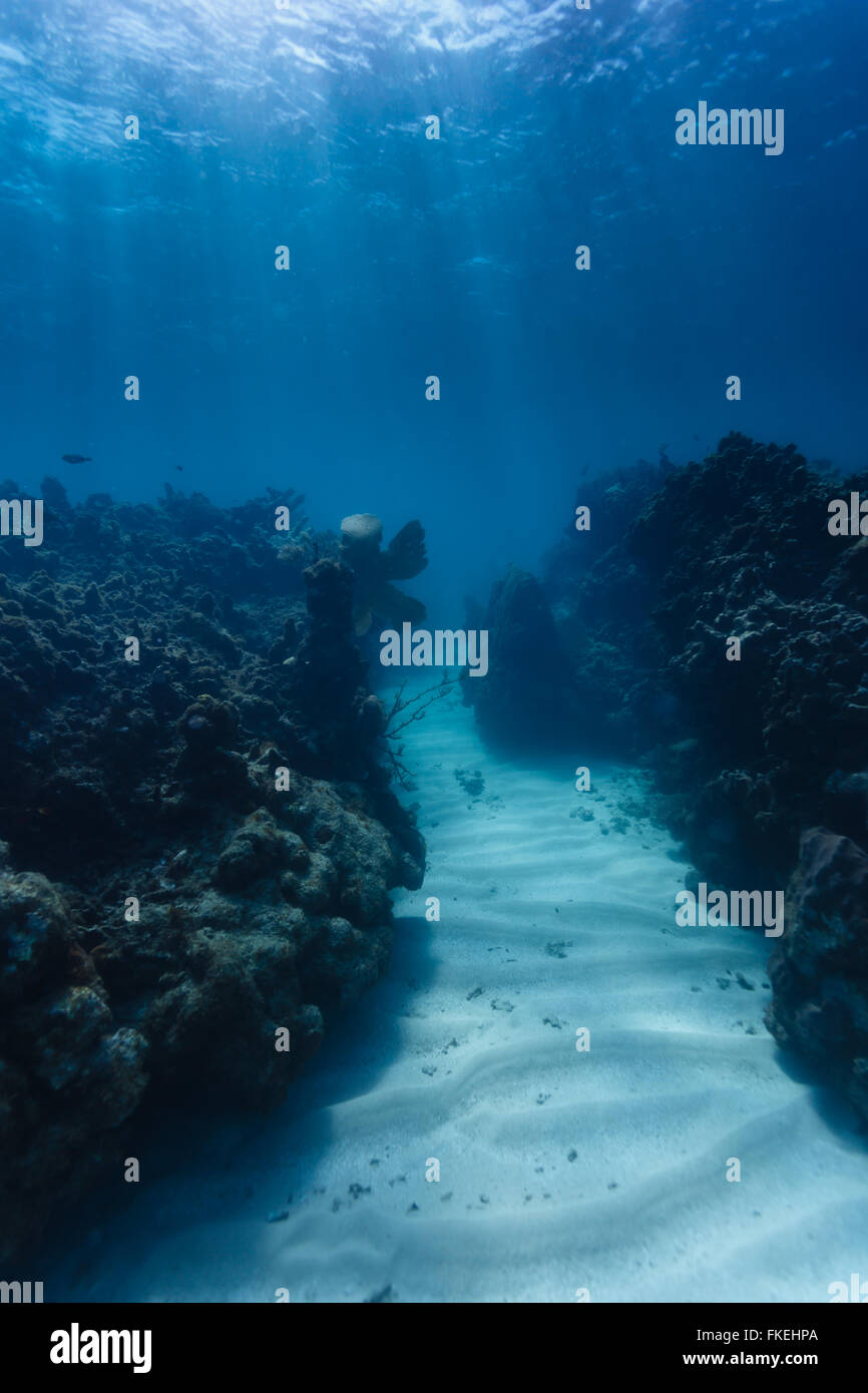 close-up of entrance to wide crevice in the coral reef showing sandy ...