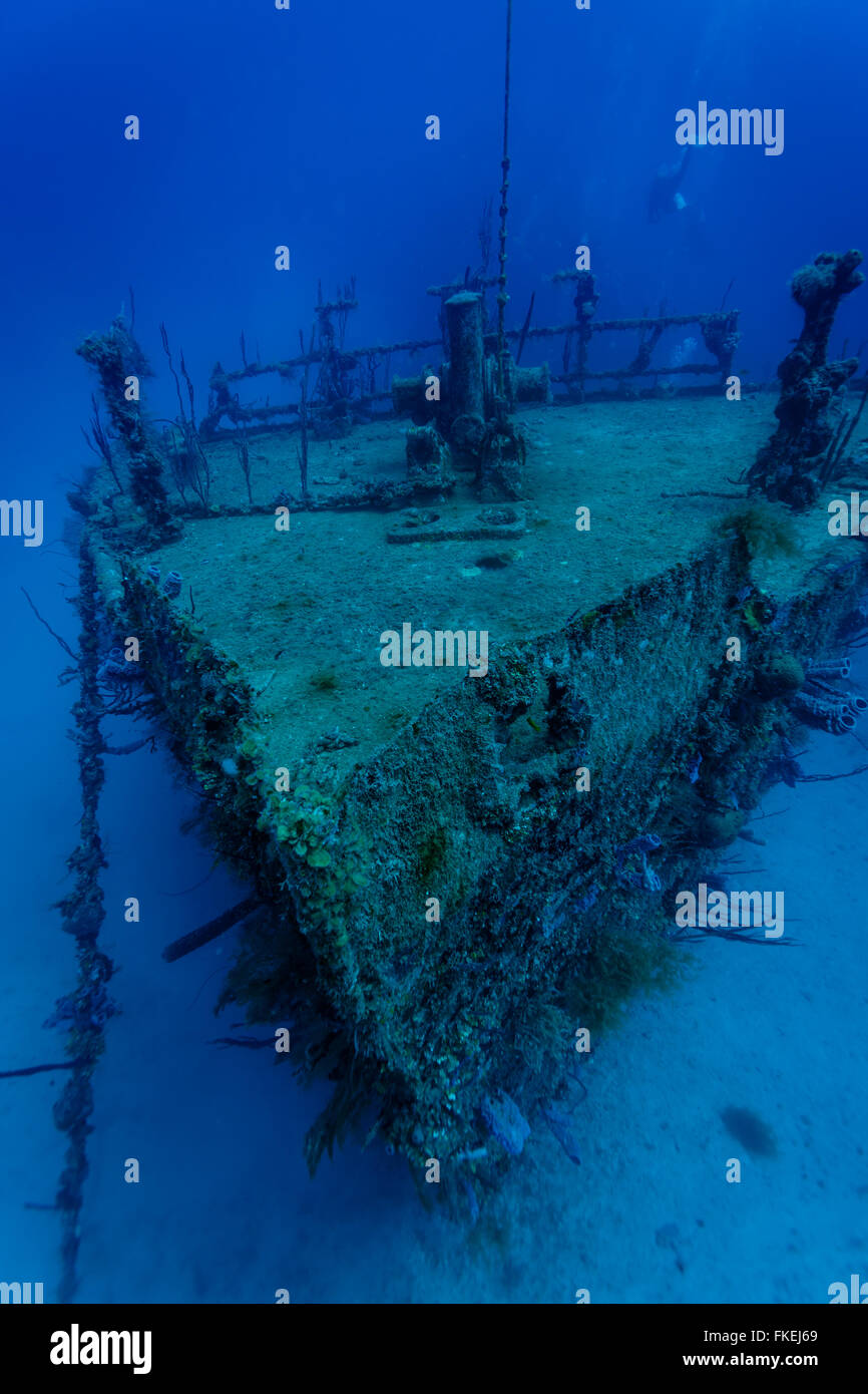 Close up of sunken wreck of boat off coast of Honduras and scuba diver ...