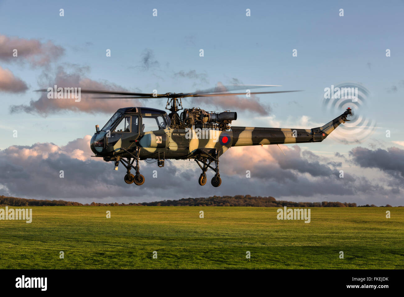 Westland wasp hi-res stock photography and images - Alamy