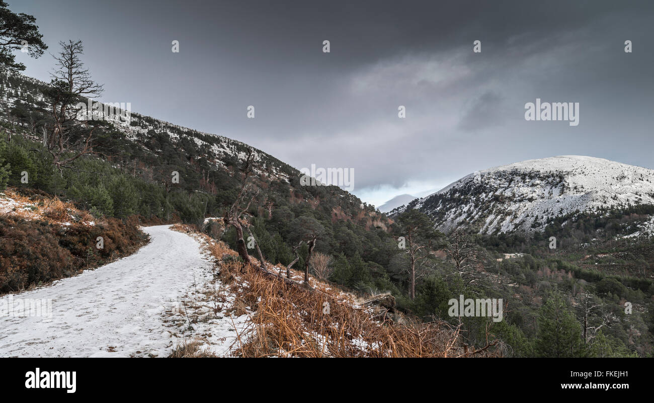 Ryvoan Pass in the Cairngorms National Park in Scotland Stock Photo - Alamy