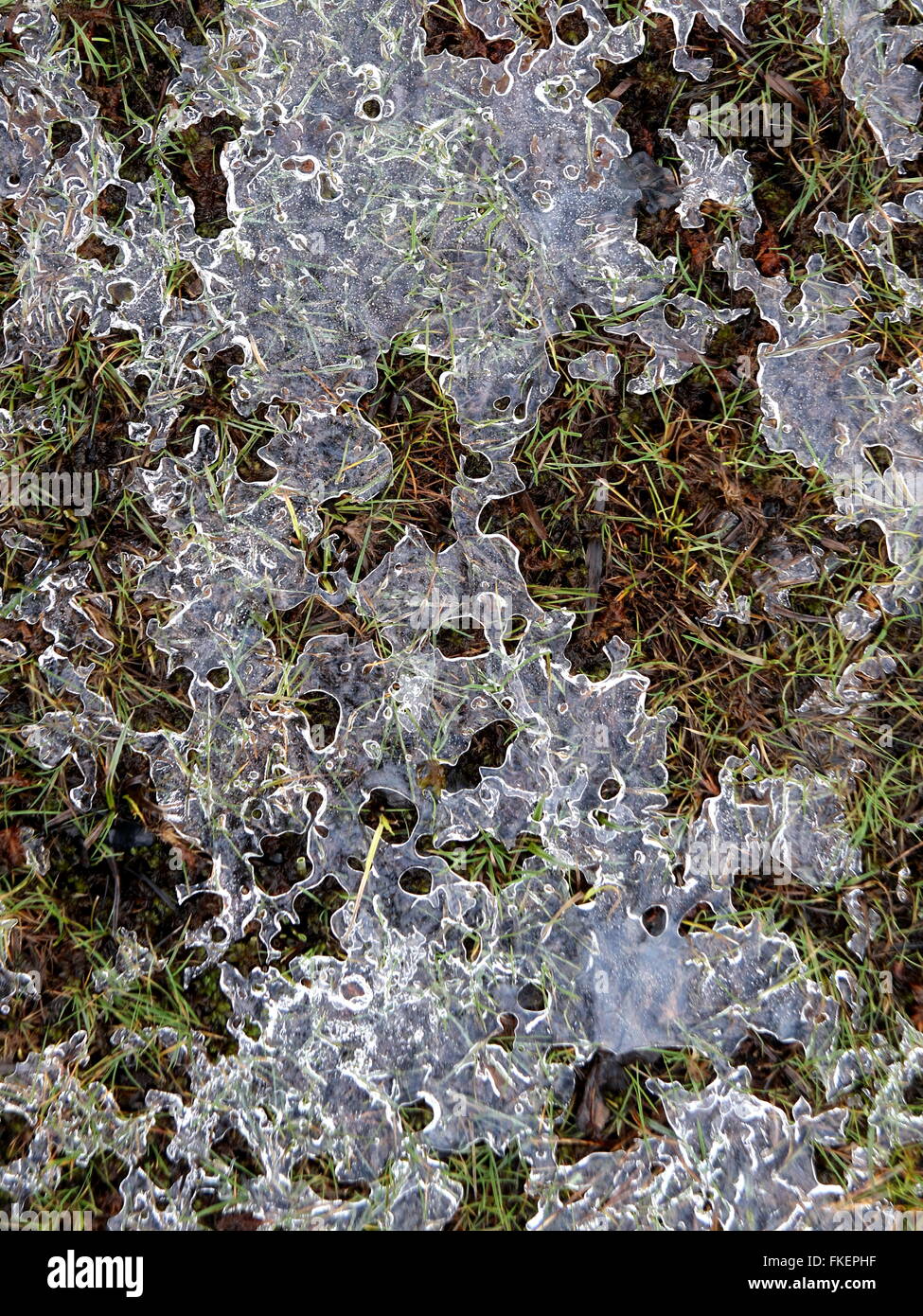 Ice on grass Stock Photo - Alamy