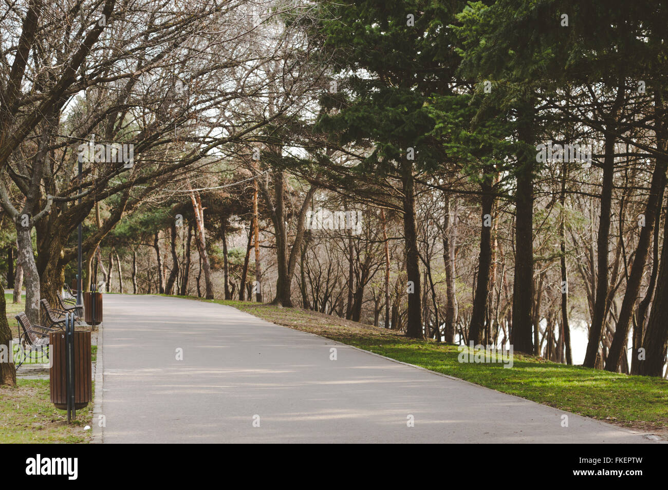 Empty alley in Titan park Stock Photo - Alamy