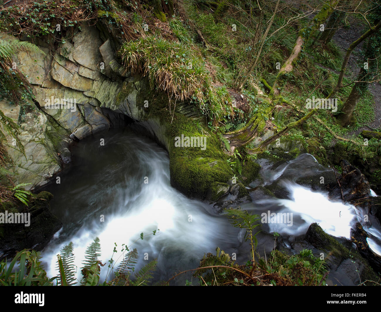 Slate rock pool at head of waterfall, Dinas Head, Pembrokeshire West ...