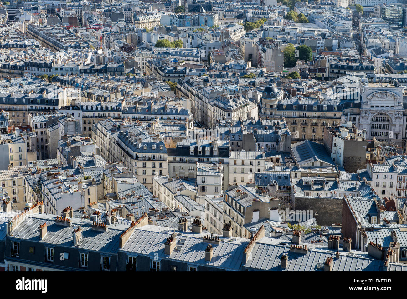 Rooftops of Paris seen from above, Paris, France Stock Photo - Alamy