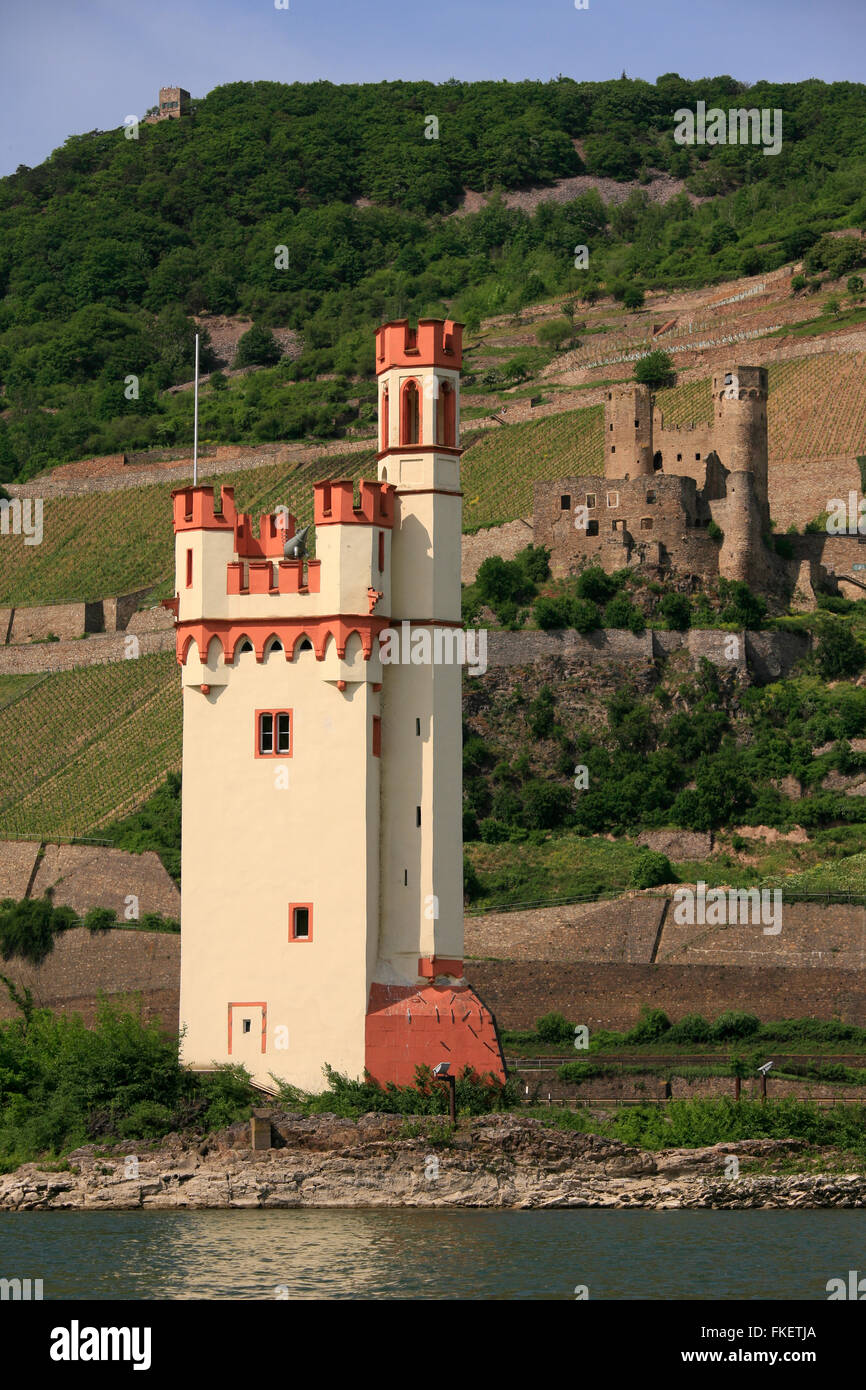 Mouse Tower, Mäuseturm, Ehrenfels Castle behind, Bingen am Rhein ...