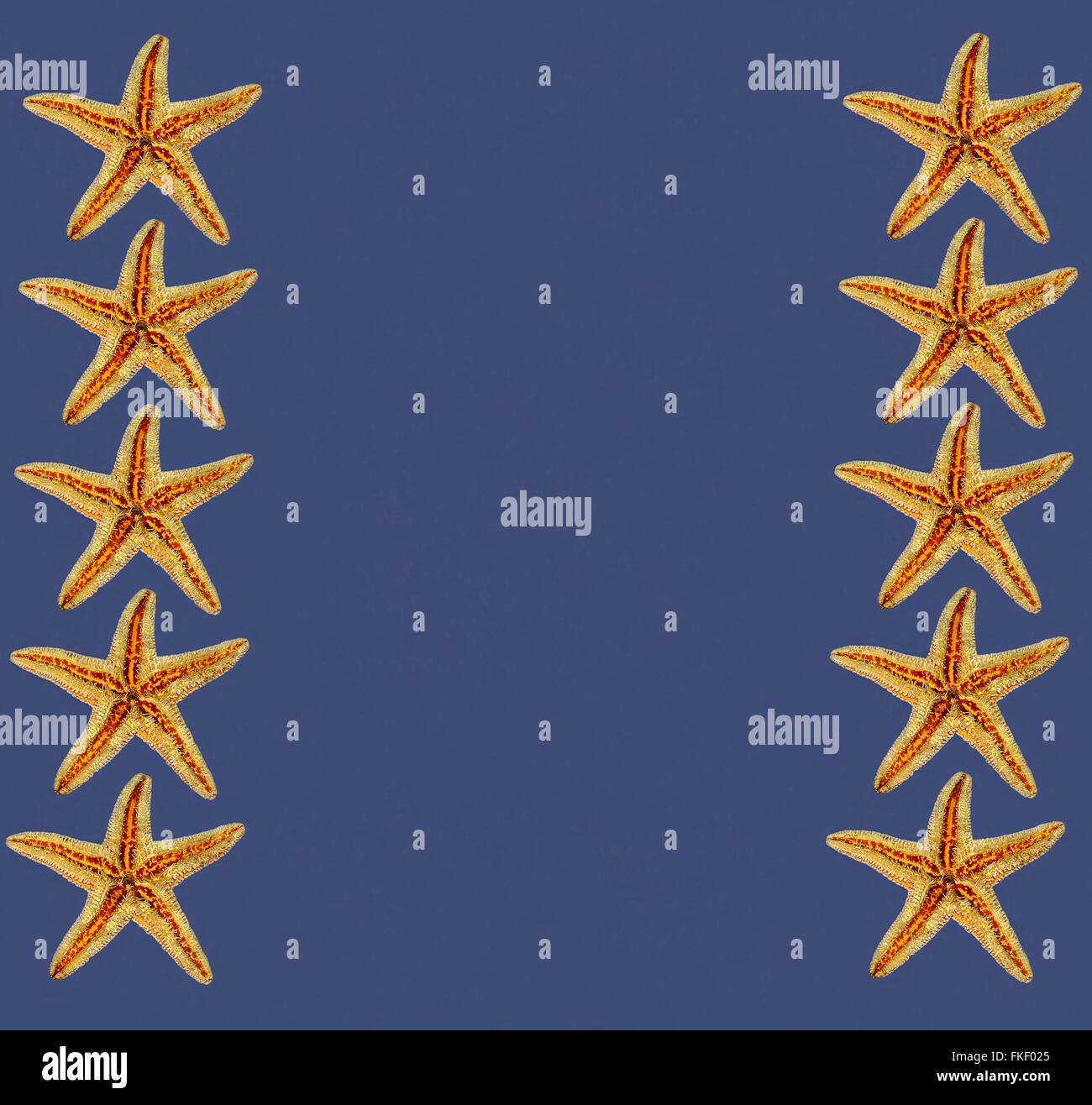 Starfishes hi-res stock photography and images - Alamy