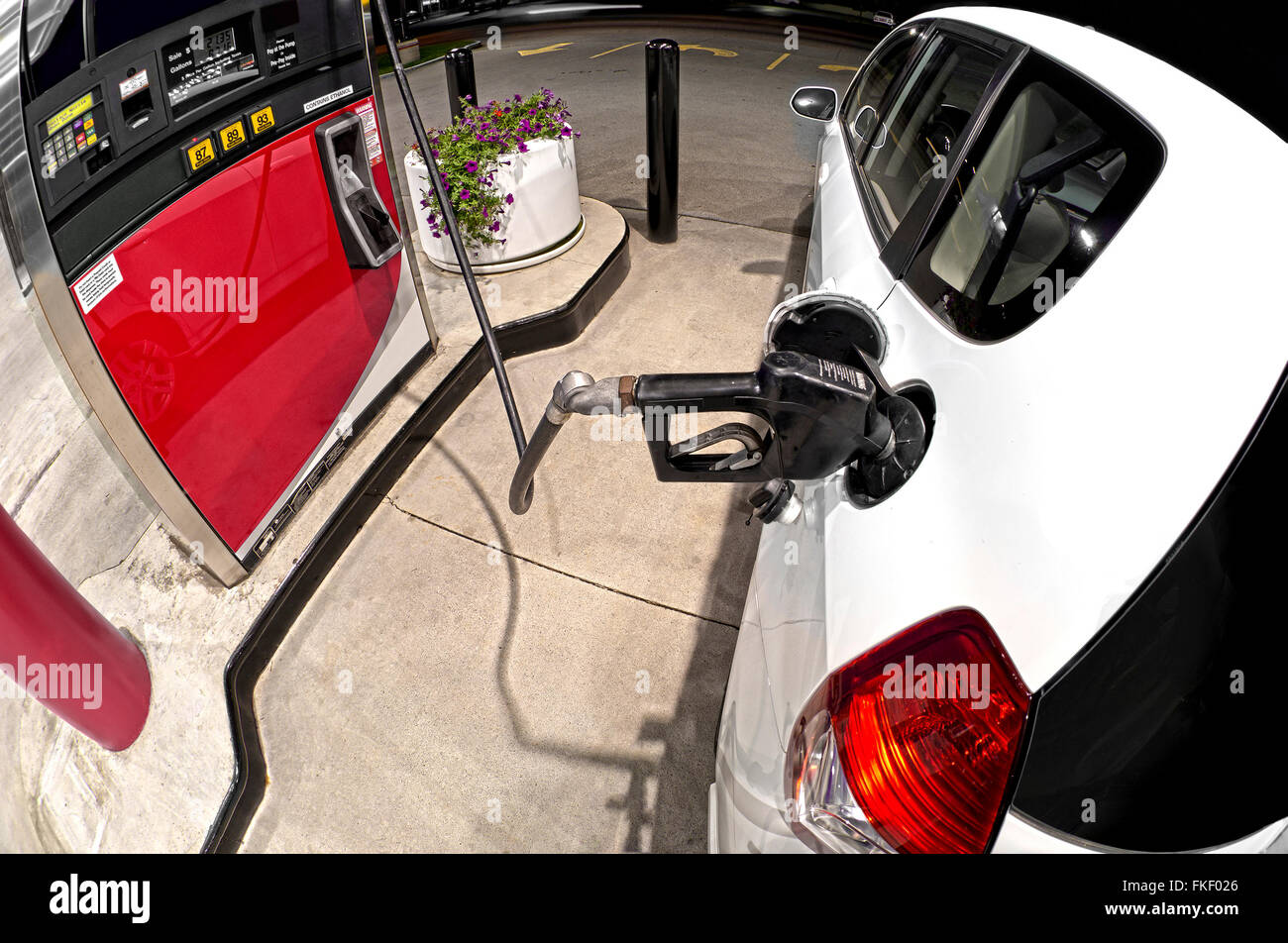 Night Time Gasoline Purchase Stock Photo - Alamy