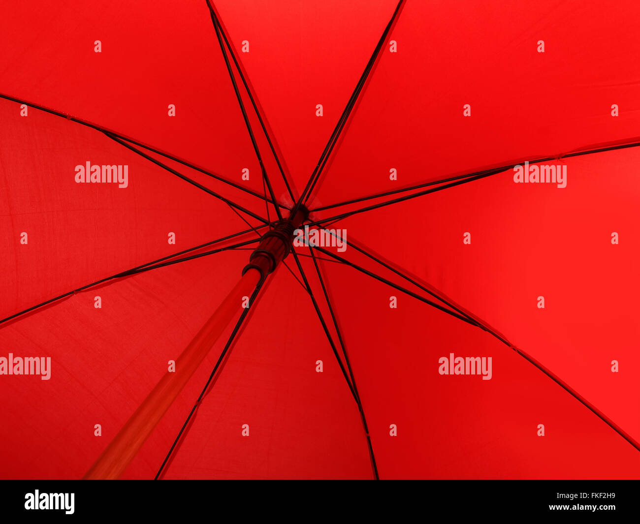 Umbrella wallpaper hi-res stock photography and images - Alamy