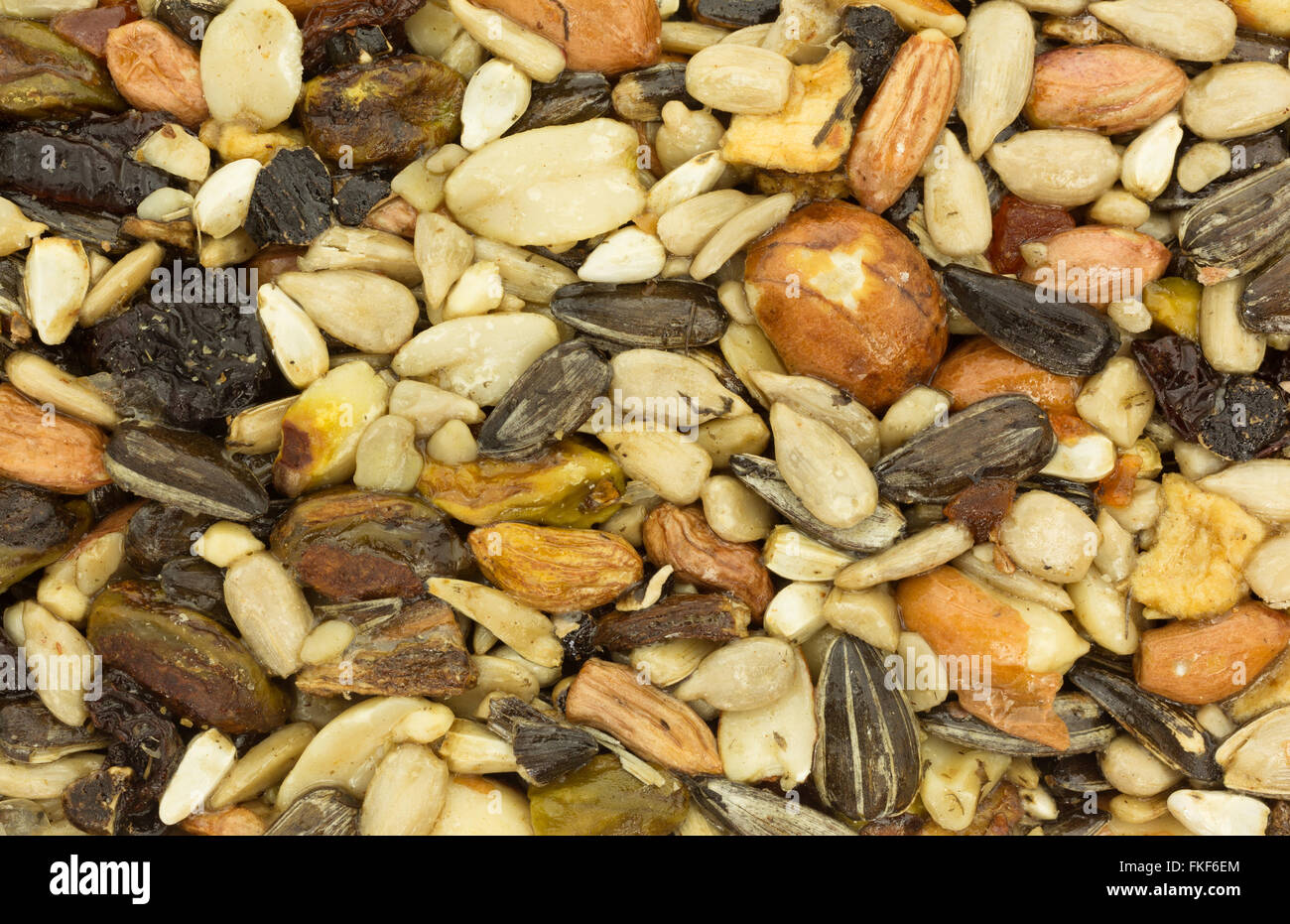 A very close view of the seeds of a bird food block Stock Photo - Alamy