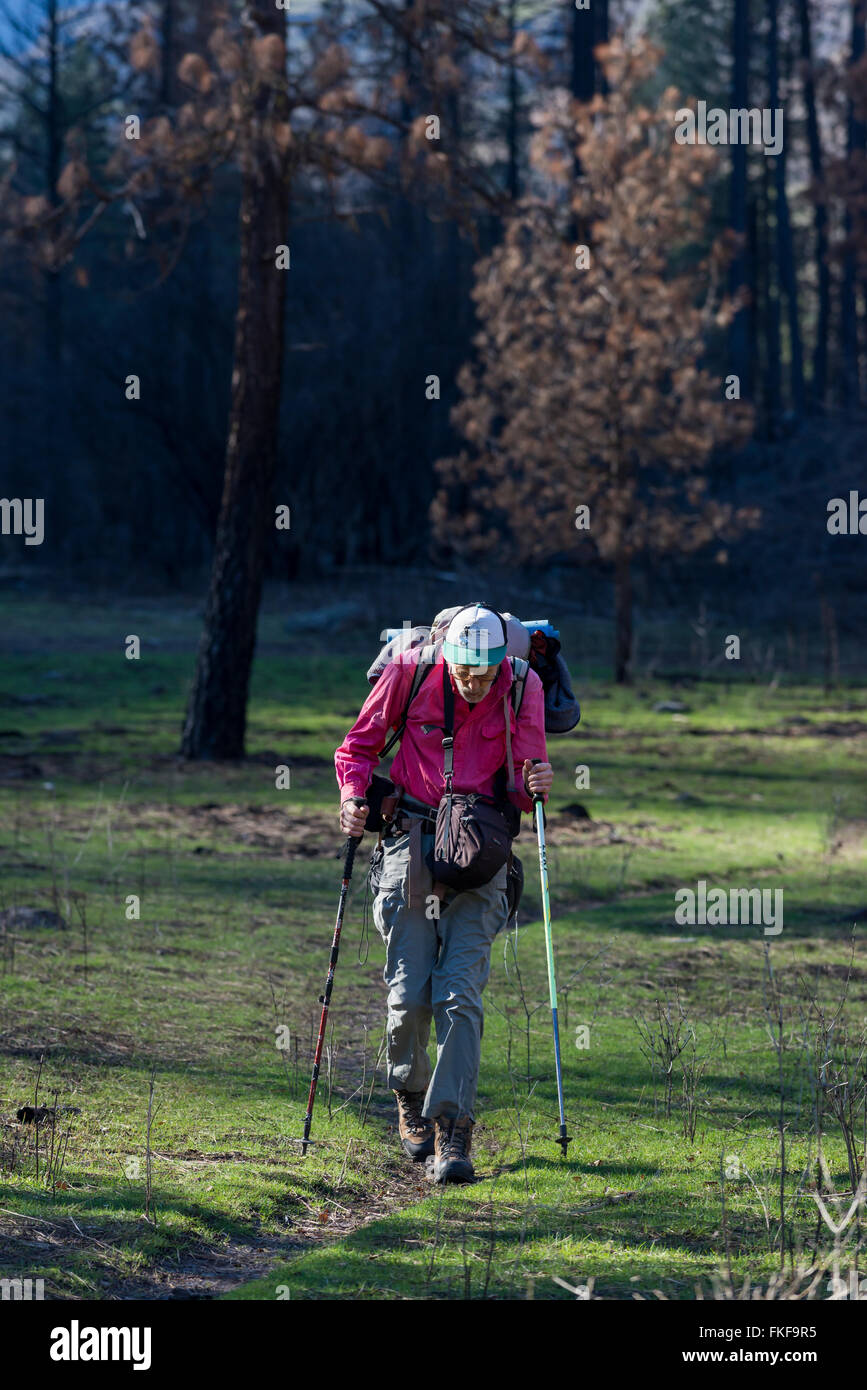 Backpacking in the Wenaha River canyon, Northeast Oregon Stock Photo ...