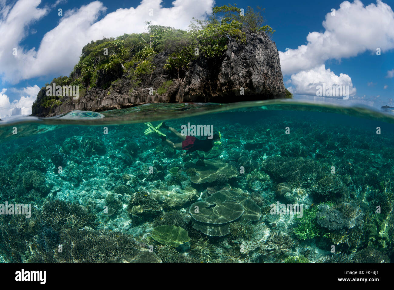 Misool island raja ampat hi-res stock photography and images - Alamy