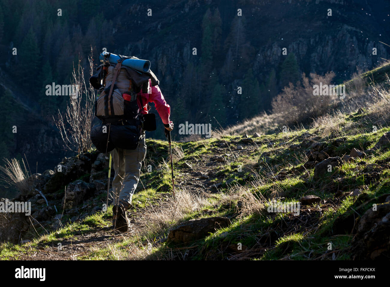 Backpacking in the Wenaha River canyon, Northeast Oregon Stock Photo ...