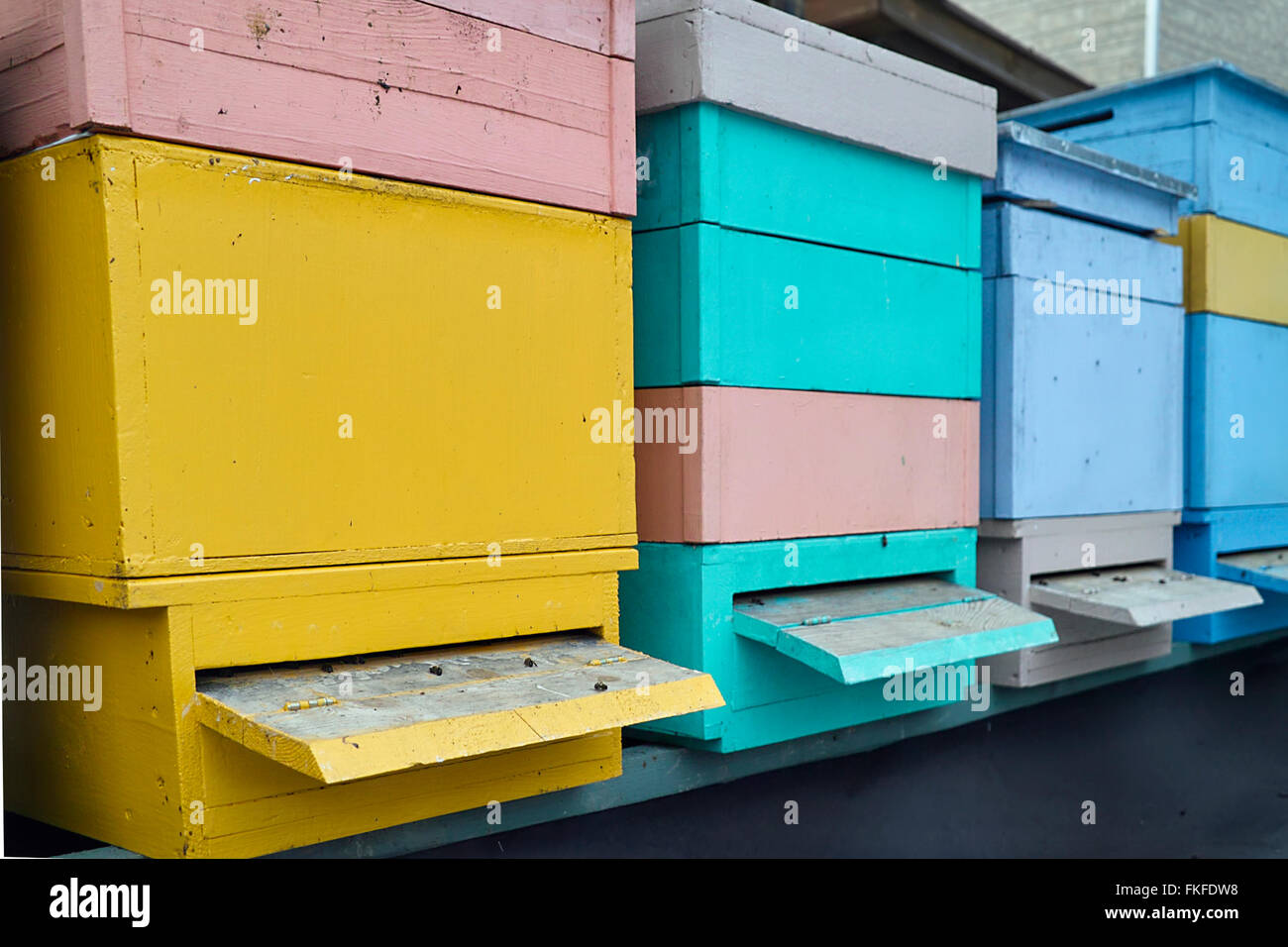 Fresh painted beehives Stock Photo - Alamy