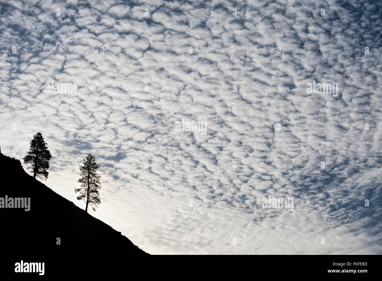 Northeast ridge hi-res stock photography and images - Alamy