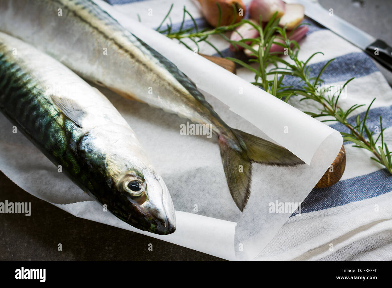 Fresh mackerel fish with rosemary and onion Stock Photo - Alamy