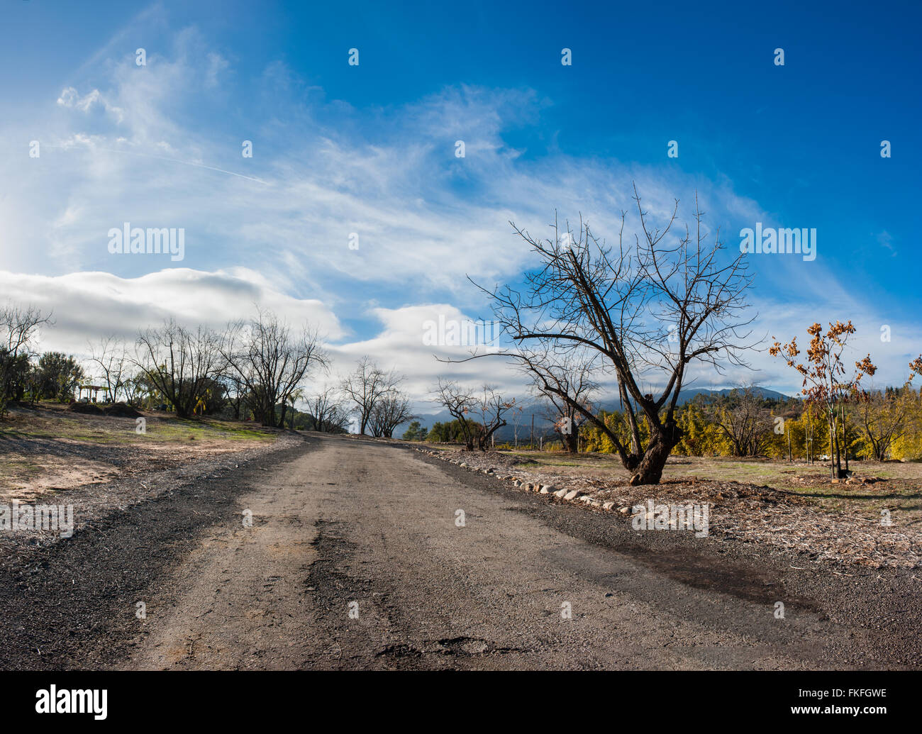 Property driveway hi-res stock photography and images - Alamy