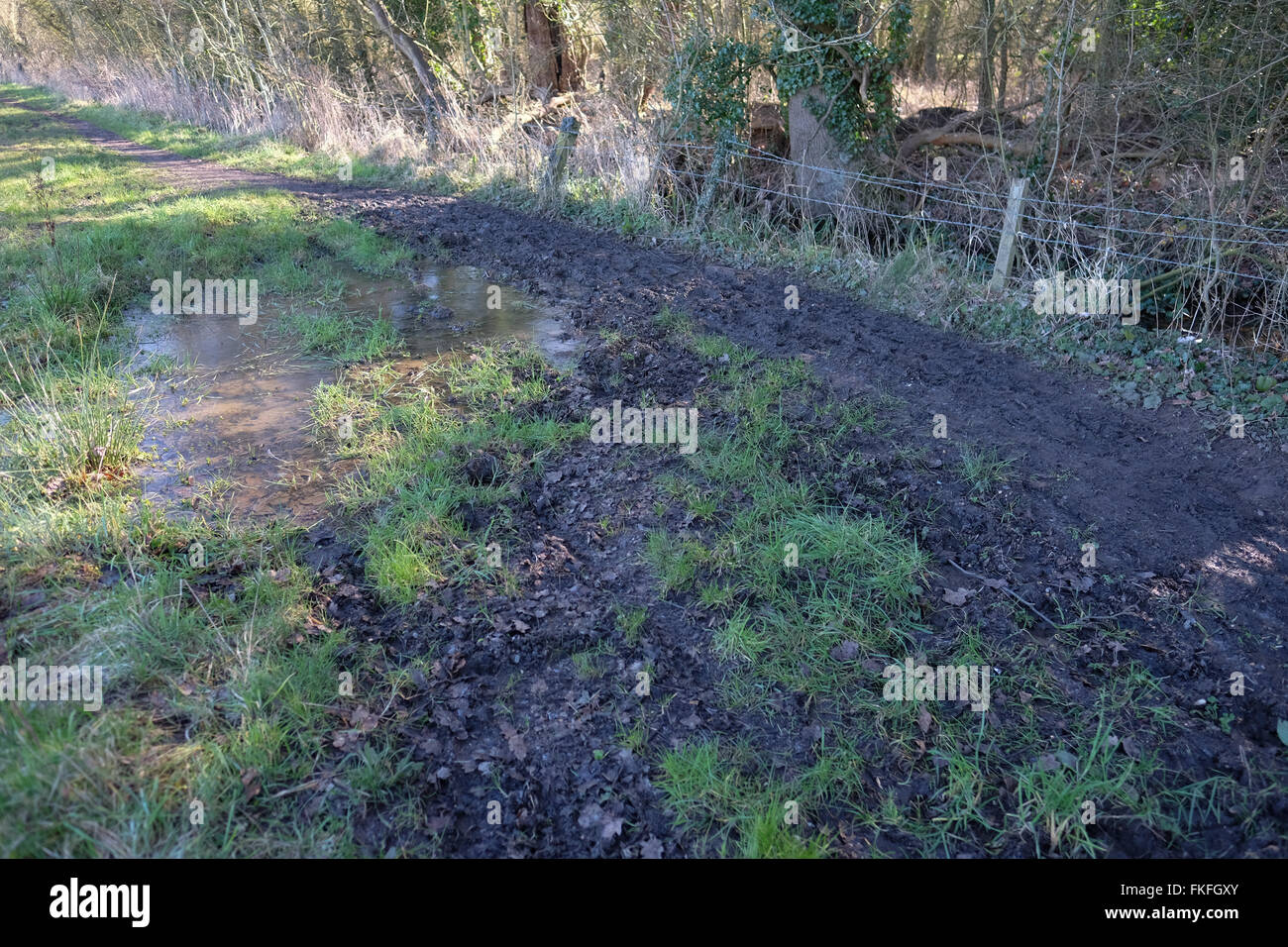 Rutted road hi-res stock photography and images - Alamy