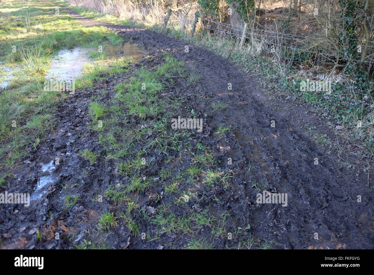 flooded and deeply rutted footpath Stock Photo - Alamy