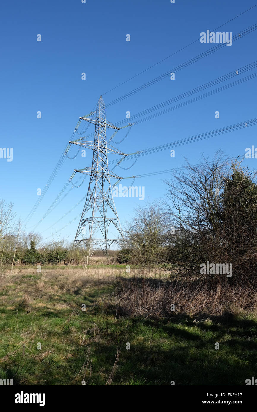 pylons in the countryside Stock Photo - Alamy