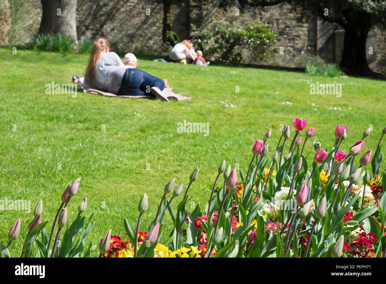 Springtime in the park Stock Photo - Alamy