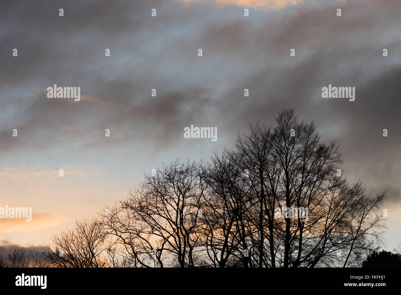 A beautifully mixed sunset of low and high cloud causing contrast Stock ...