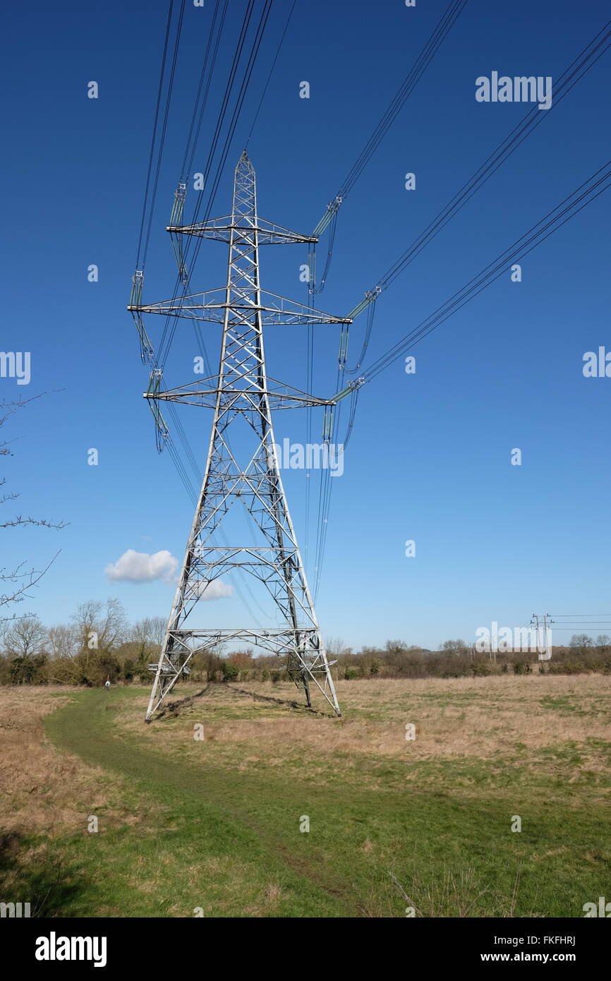 Pylons and the environment hi-res stock photography and images - Alamy