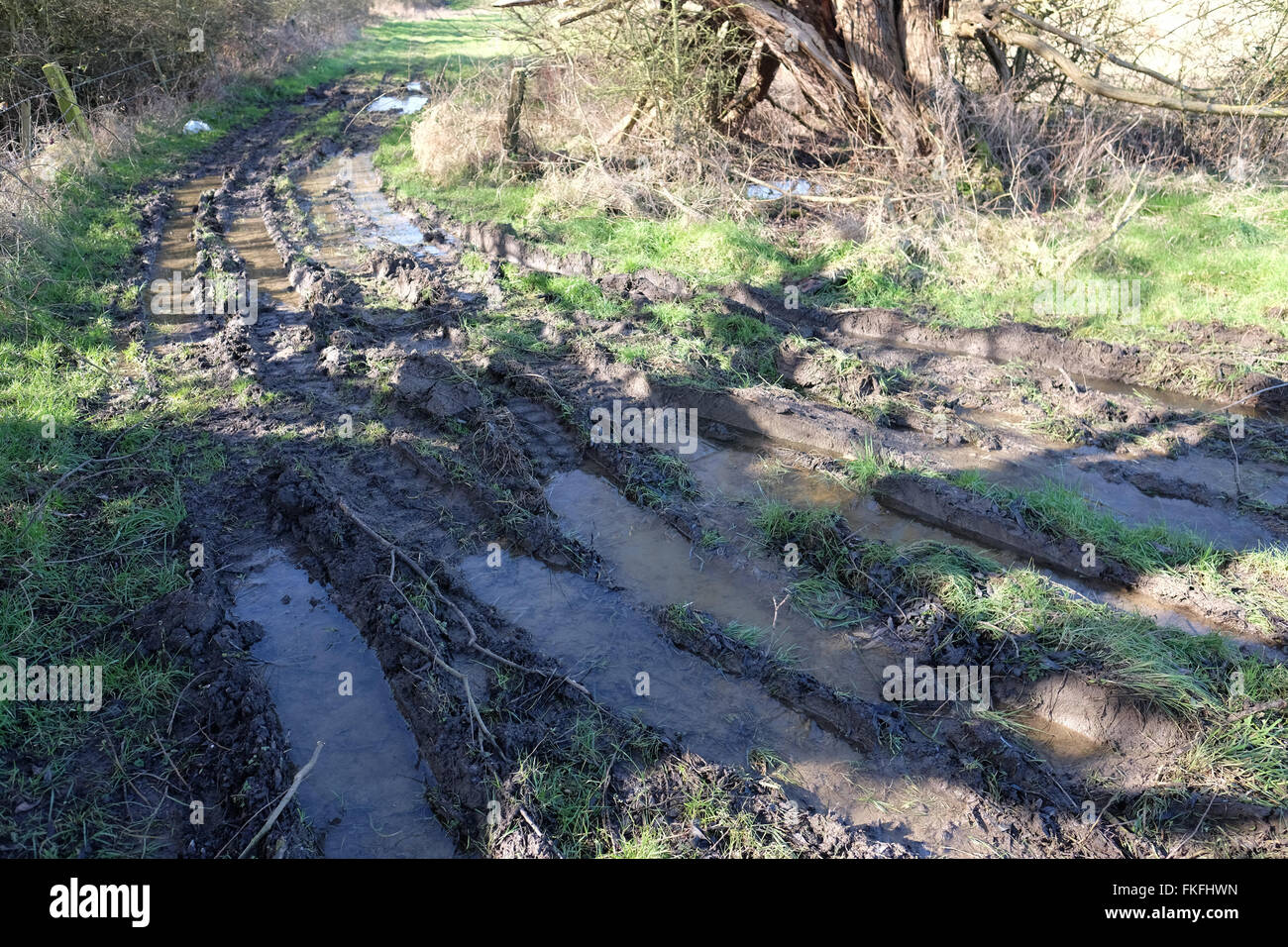 Rutted road hi-res stock photography and images - Alamy