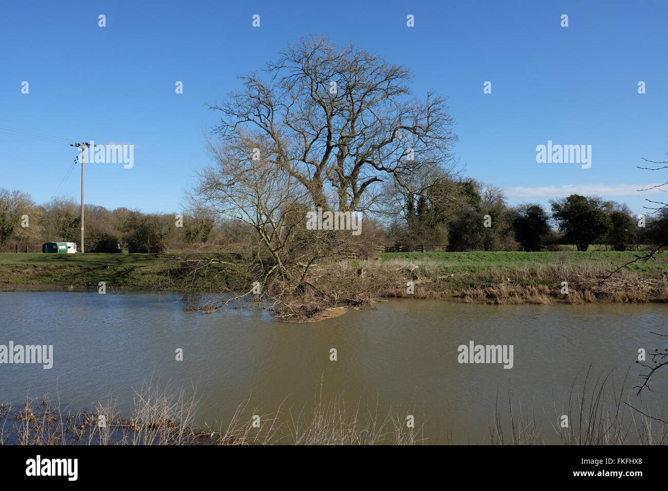 large tree that has fallen into the river soar Stock Photo - Alamy