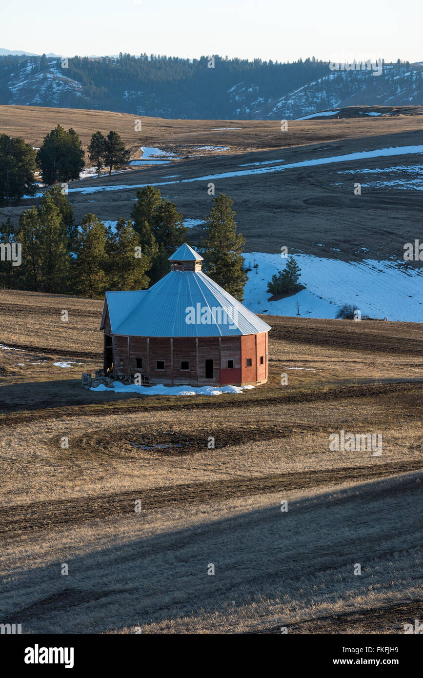 Round barn near Flora, Oregon. An elk herd is visible on the open slope ...