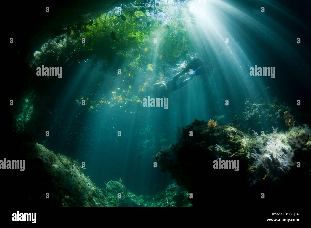 Shallow cave in dive site called The Passage with snorkeler. North Raja ...
