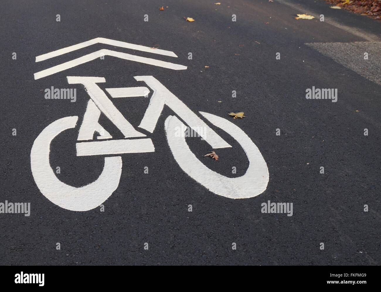 Sign representing a bicycle painted in white on the road asphalt to ...