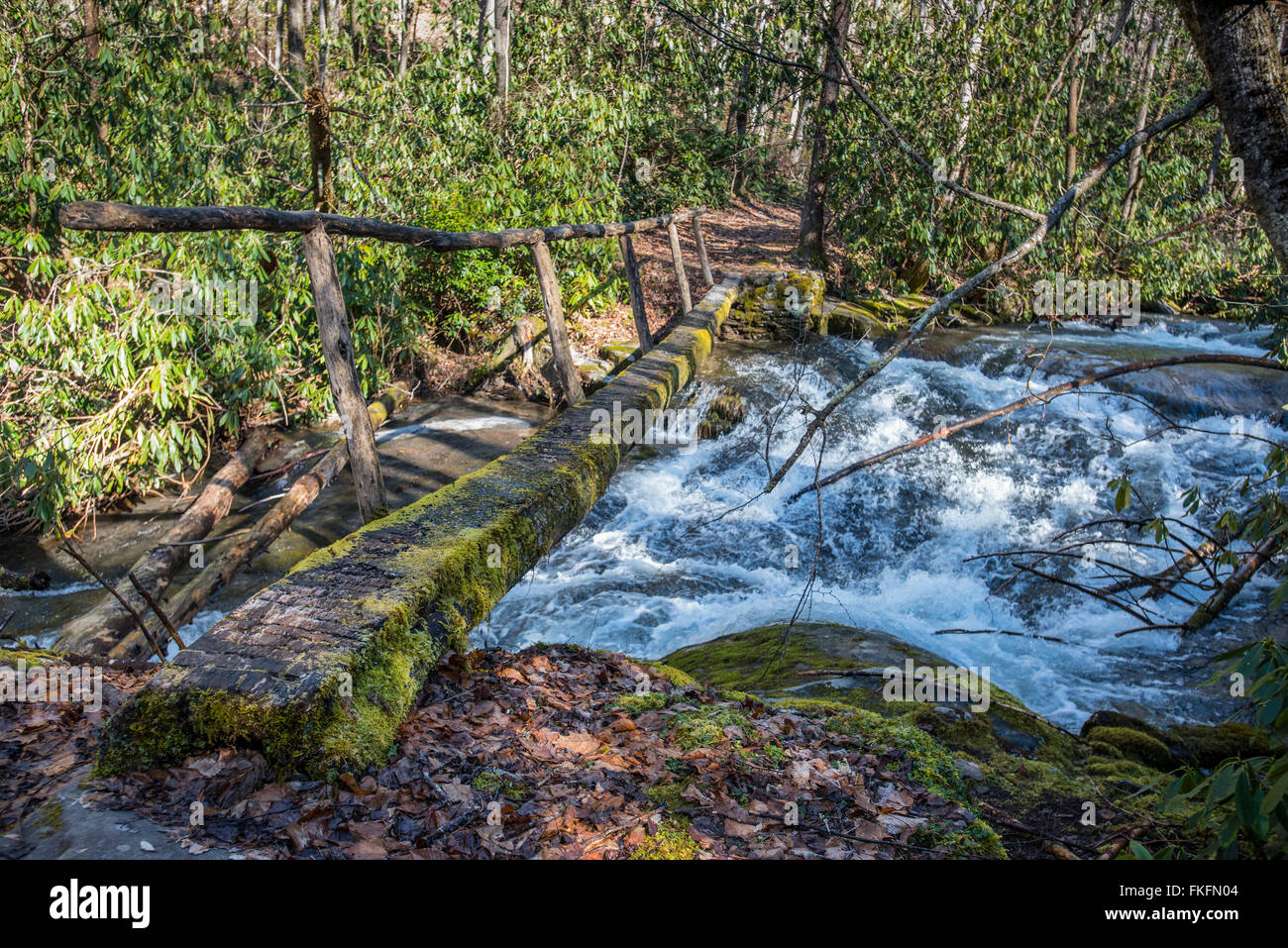 Simple log bridge over fast moving creek in the Great Smoky Mountain ...