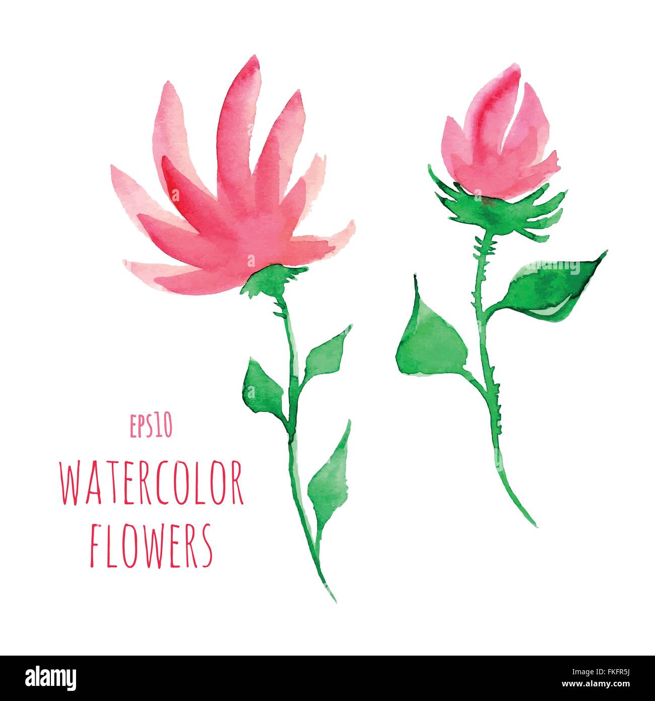 Vector Watercolor Flowers Stock Vector Image & Art - Alamy