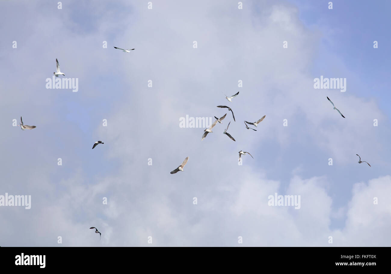 Scattered crowd hi-res stock photography and images - Alamy