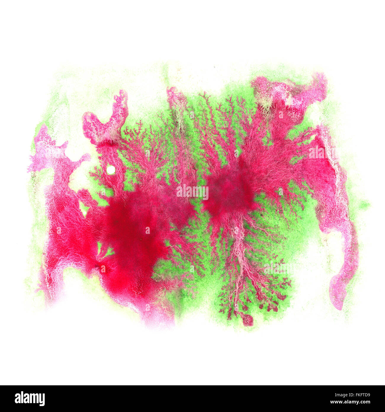 paint splash color ink green pink watercolor isolated stroke Stock ...
