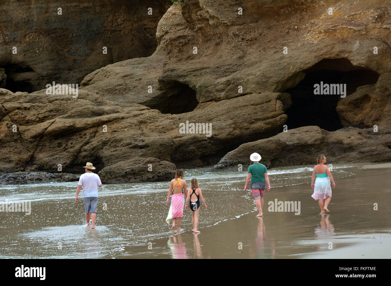 Tawharanui Regional Park High Resolution Stock Photography and Images ...