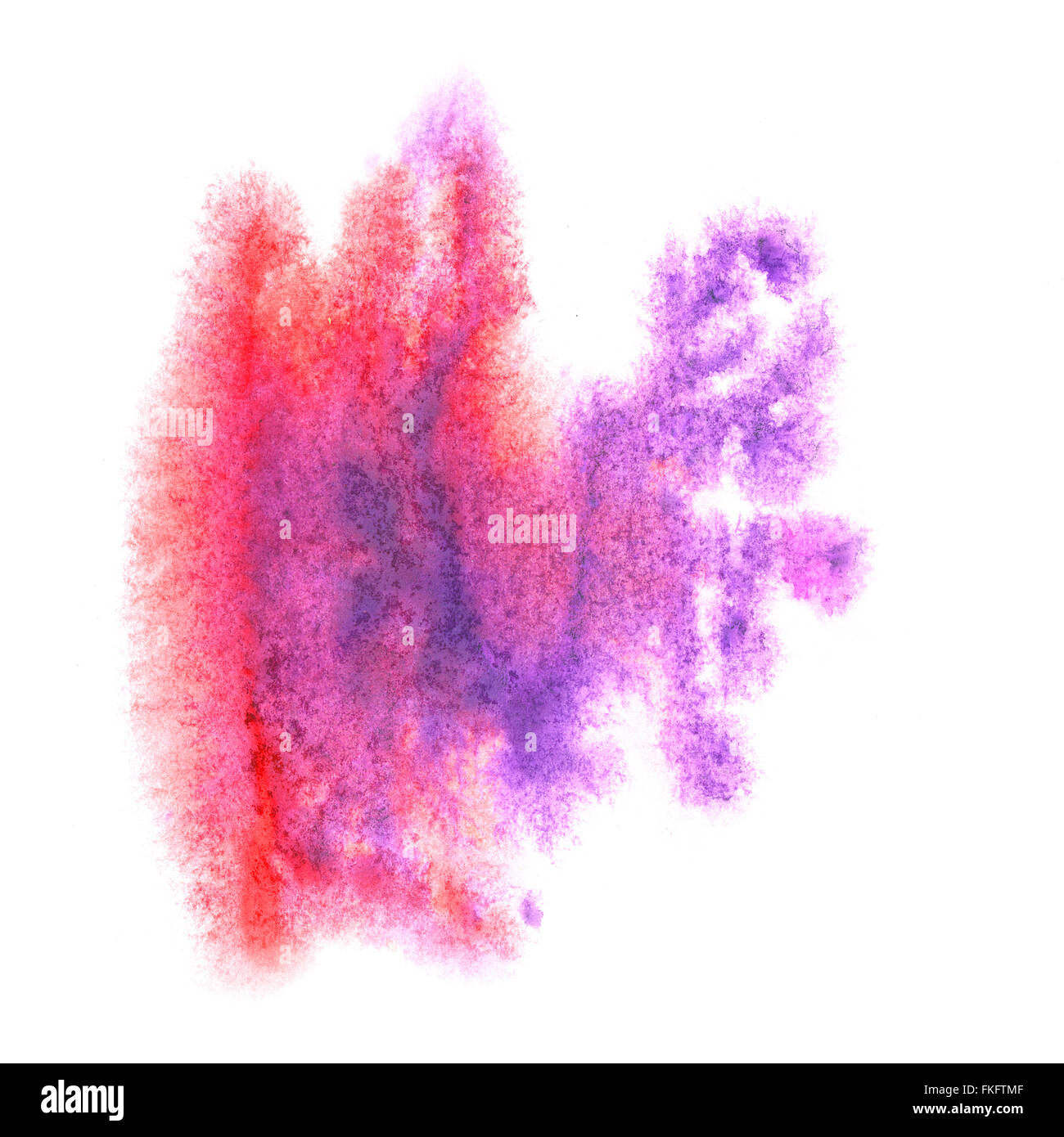 paint splash purple red color ink watercolor isolated stroke Stock ...